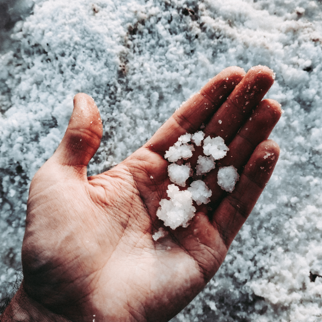 Cara Hilangkan Cacing Di Bilik Air Yang Selalu Buat Kita Geli