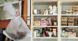 6 Cara Halau Semut Dengan Berkesan Tanpa Racun! - IMPIANA