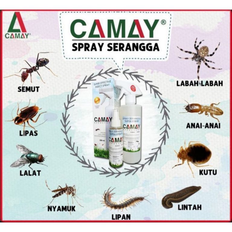 6 Cara Halau Semut Dengan Berkesan Tanpa Racun! - IMPIANA