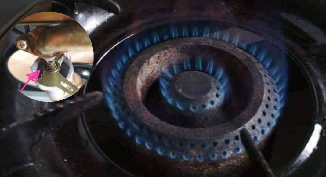 6 Cara Halau Semut Dengan Berkesan Tanpa Racun! - IMPIANA