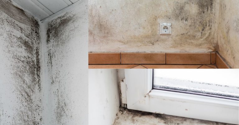 Cara Hilangkan Kesan Kulat Dan Kulapuk Dalam Bilik Air