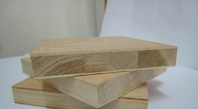 Tip Bijak Pilih Bentuk, Saiz dan Design Karpet Untuk Kediaman Anda ...