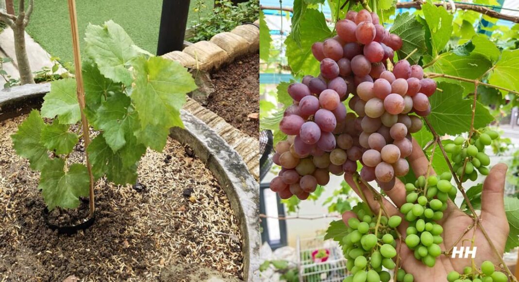 PANDUAN 'Checklist' Penting Keperluan Pindah Masuk Rumah Baru Yang ...