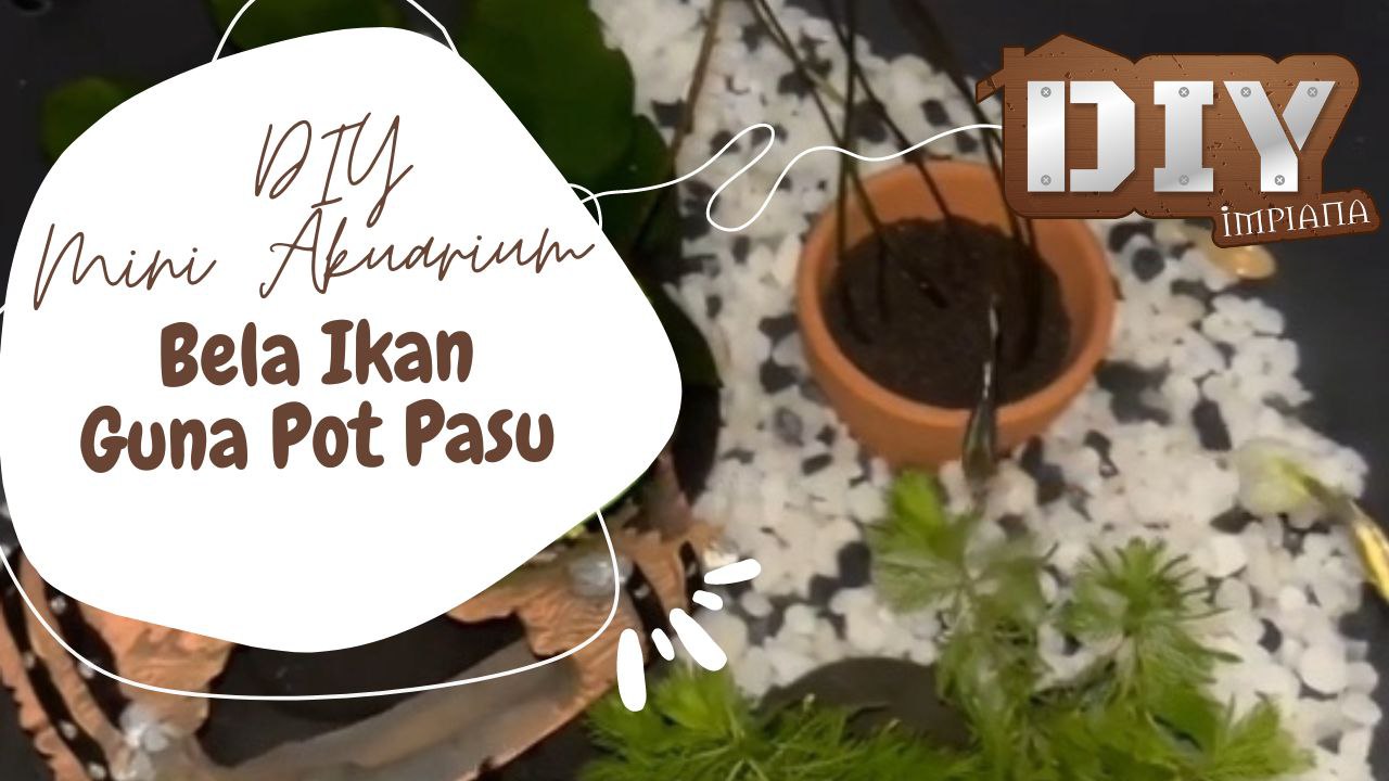 DIY Akuarium Mini, Bela Ikan Dalam Pot Pasu