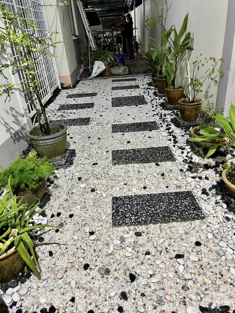 Ini Yang Perlu Anda Lakukan Untuk Pokok Kari Yang Daun Rosak Dan ...