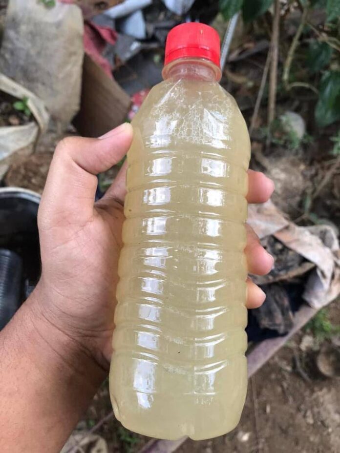 Buat Sendiri RACUN ORGANIK Di Rumah, Tiada Lagi Ulat Beluncas Makan Daun!