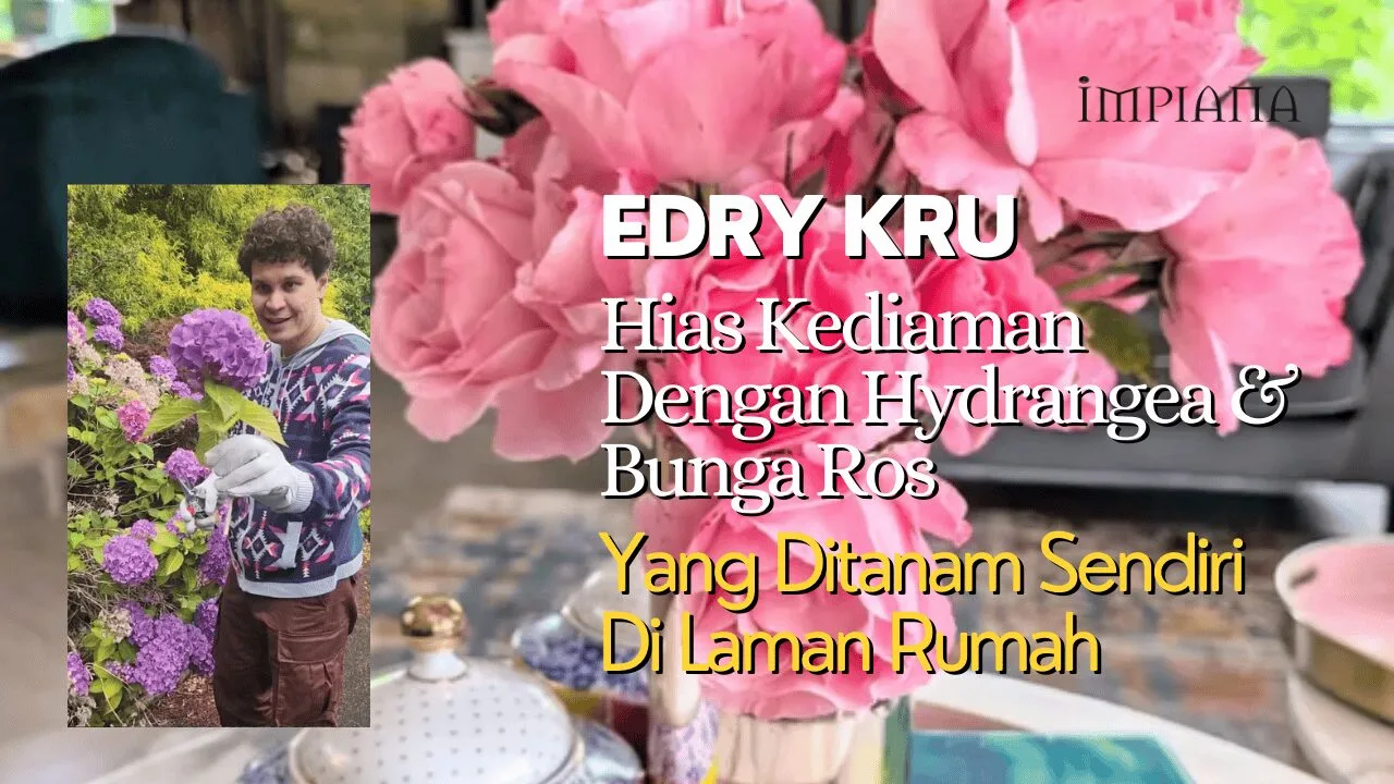 EDRY KRU Hias Kediaman Dengan Hydrangea & Bunga Ros Yang Ditanam ...