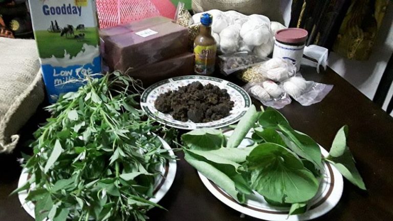 10 Tanaman Renek Berbunga Yang Tahan Panas Dan Cuaca Kering - IMPIANA