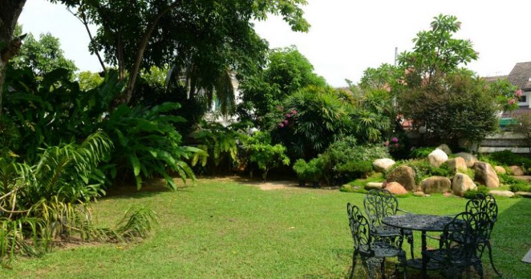 8 Pokok Renek Sesuai Dijadikan Pagaran - IMPIANA