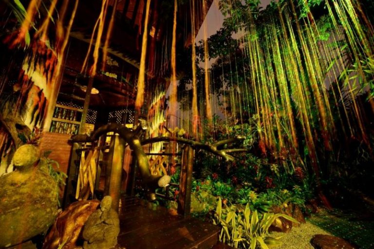 10 Tanaman Renek Berbunga Yang Tahan Panas Dan Cuaca Kering - IMPIANA