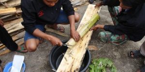 6 Kegunaan Batang Pisang Yang Mungkin Anda Tak Tahu