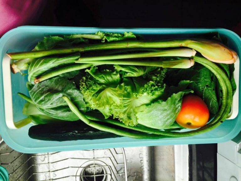 8 alasan terbaik buat anda kenapa keluli bagus untuk perkara ini. - IMPIANA