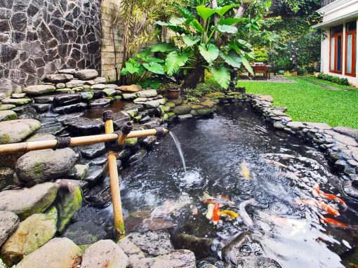 Bina Penapis Kolam Sendiri Dengan Menggunakan Pasu Lebih Menarik - IMPIANA