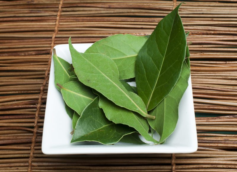 Kenali English Herbs; Daun Bay Perbaiki Aroma Rasa Makanan - IMPIANA